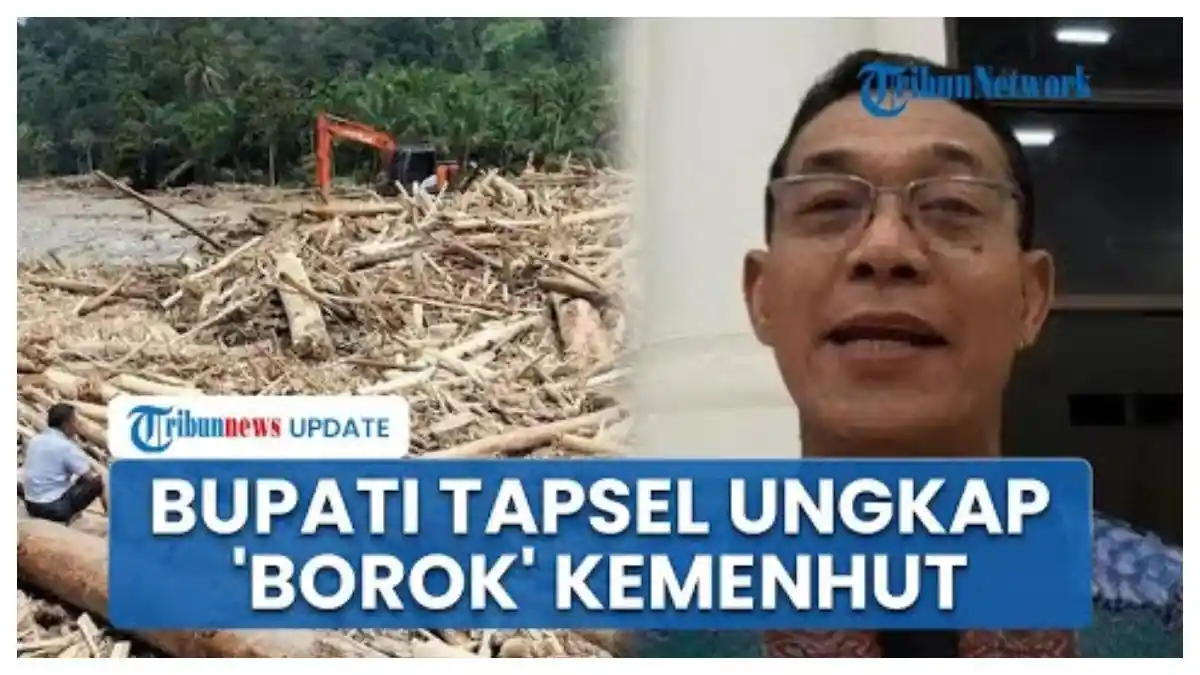 Bupati Tapsel Beberkan Nama Para Penebang Pohon dan Sebut Izin PHAT ...