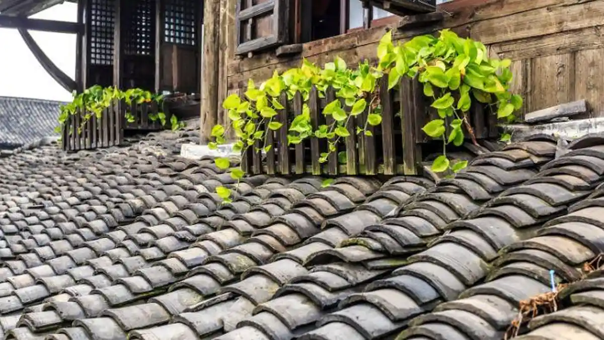 Baru 6,05 Persen Rumah Tangga Pakai Atap Genteng di Kaltim, Ini 5 ...