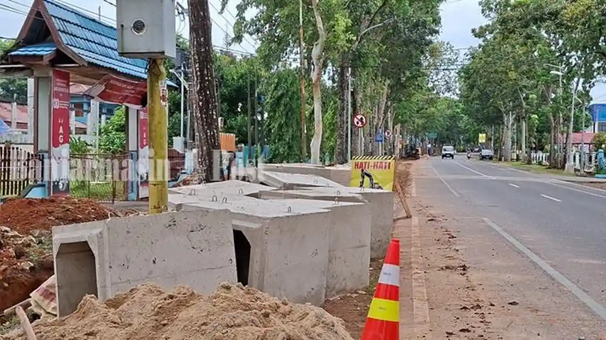 Susul Hadji Boejasin, Pedestrian Ahmad Syairani Diproyeksikan Jadi ...