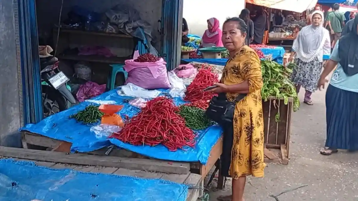 Harga Cabai di Bengkalis Naik, Cabai Lokal Rp 100 Ribu/Kg, Pasokan dari ...