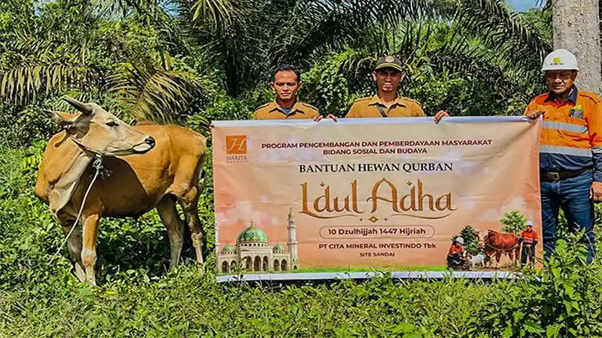 Sasar Ring Satu Tambang, CMI Bagikan Hewan Kurban di Sandai dan Air ...