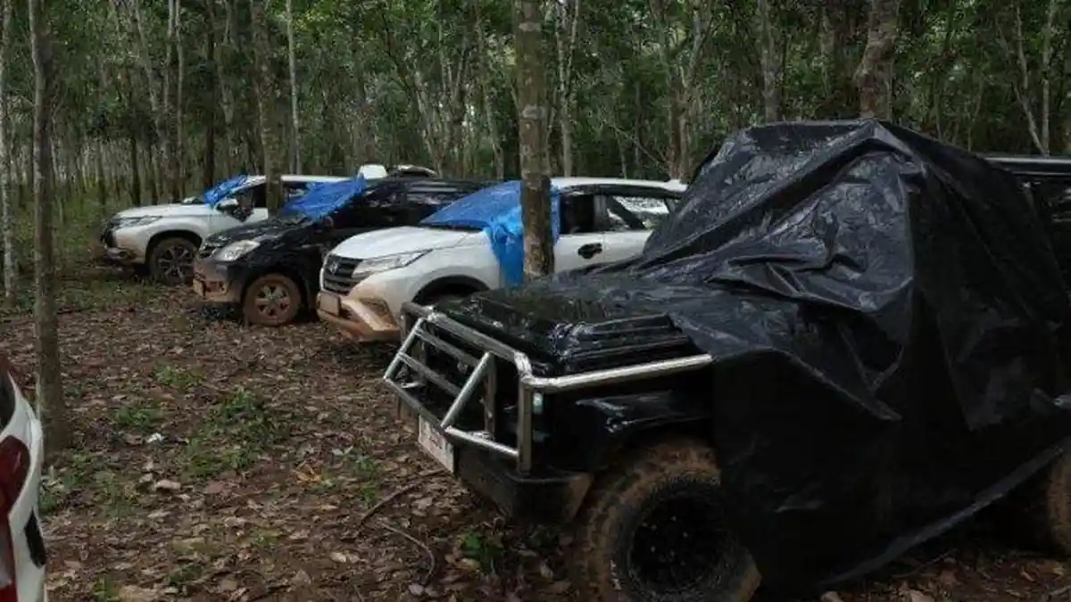 Puluhan Mobil Ditinggalkan di Lokasi Penggerebekan Judi Sabung Ayam di ...