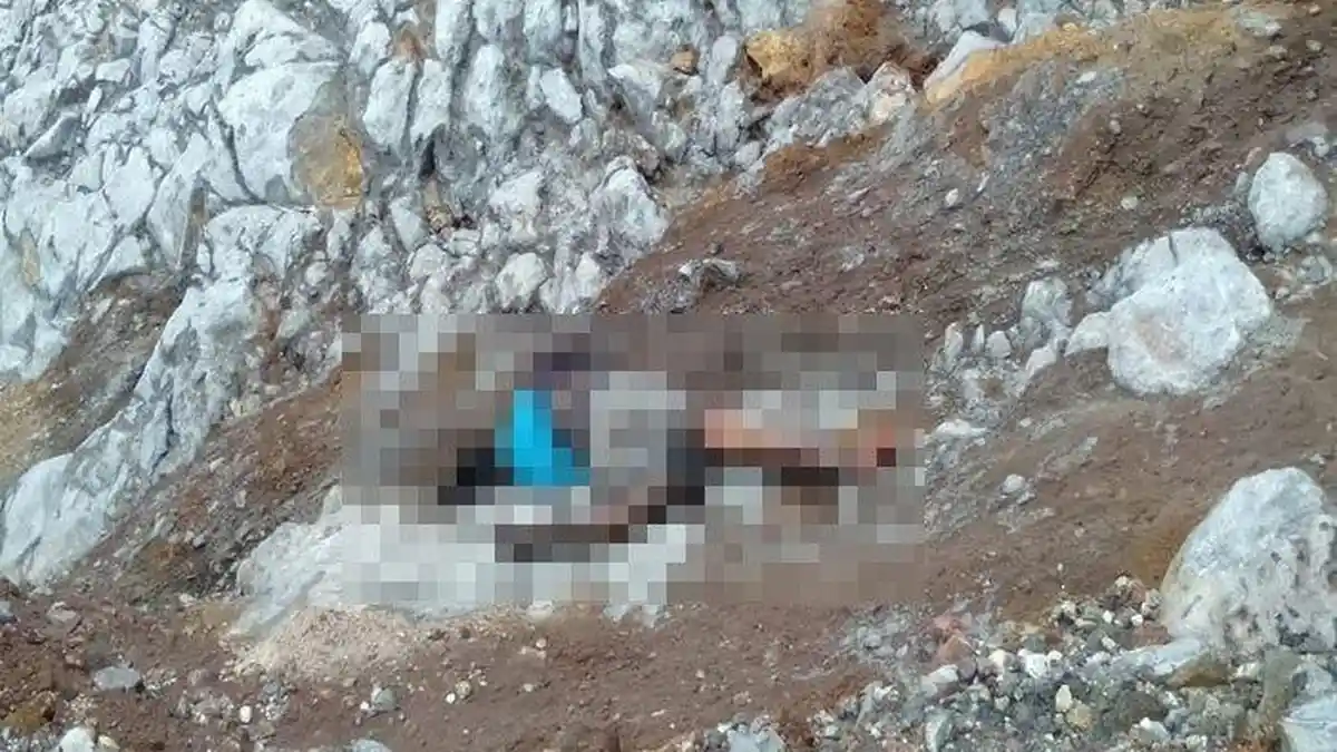 Hilang Sejak 15 Oktober, Dua Jenazah Diduga Pendaki Gunung Dempo ...