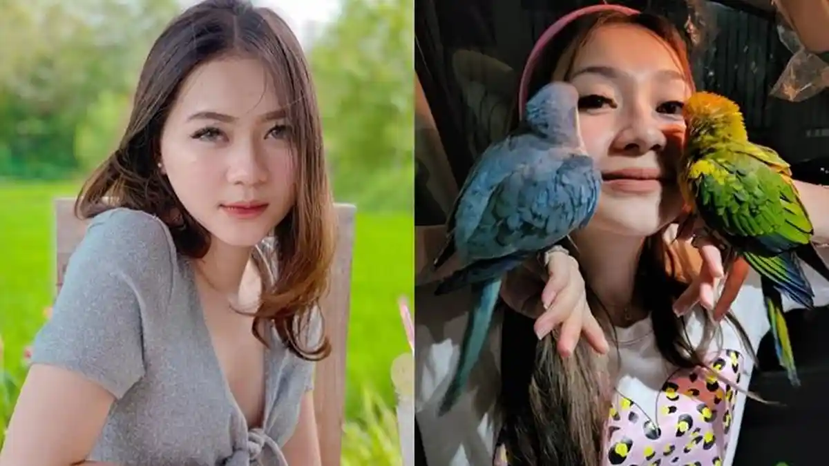 Cerita Celin Wenzen, Cewek Manado yang Punya Hobby Pelihara Burung Hias ...