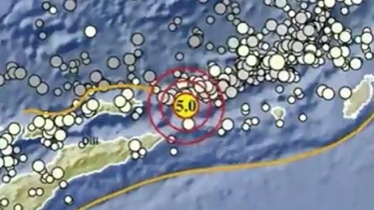 Gempa Hari Ini Magnitudo 5.0 di Maluku Barat Daya, Cek Info Terbaru ...
