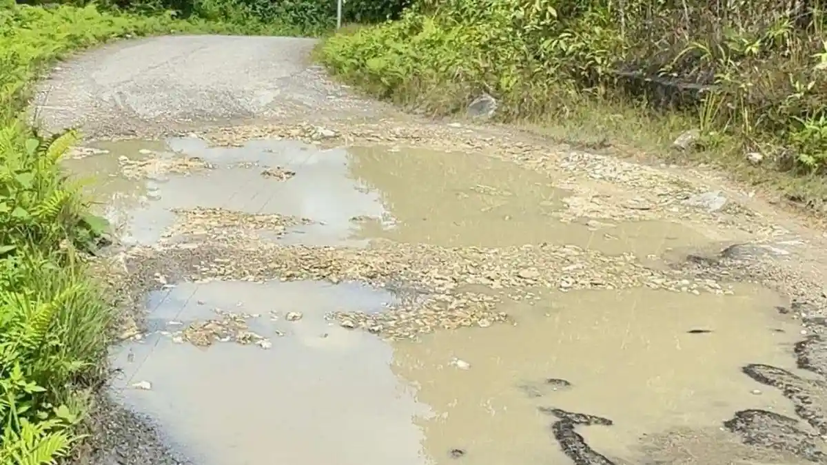 Warga Fakfak Keluhkan Jalan Kayuni-Kokas Rusak, Baharudin Lahadalia ...