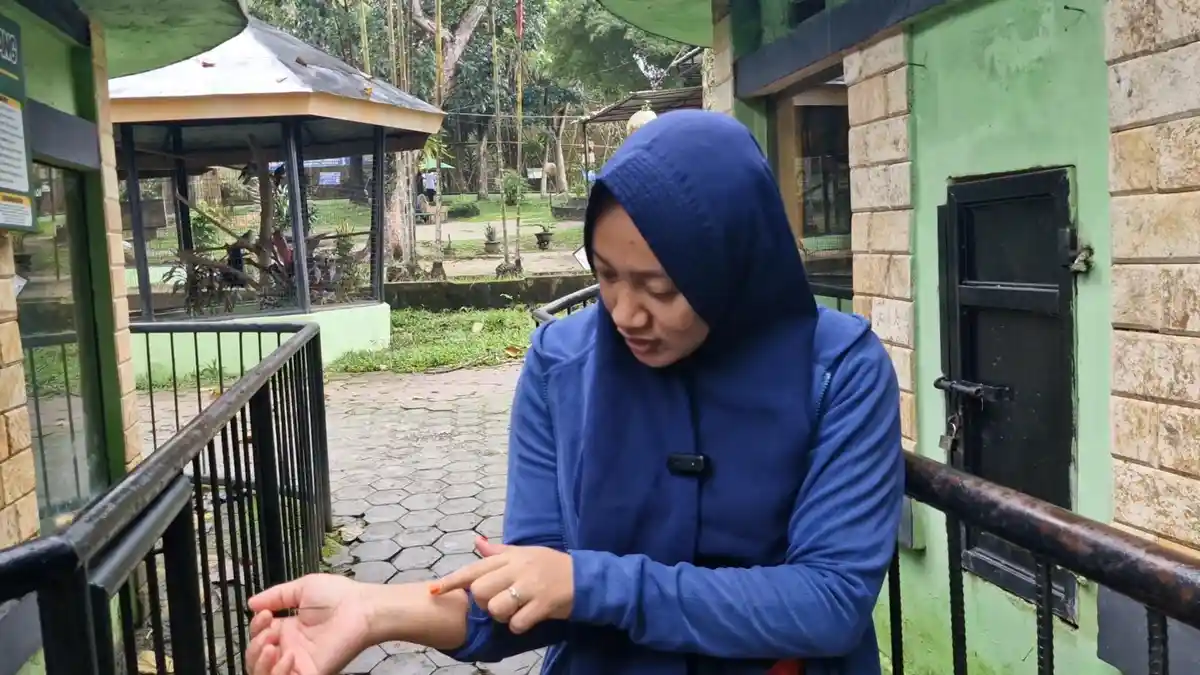 Kisah Fitri 12 Tahun Jadi Keeper Satwa Taman Rimba Jambi, Semua Bisa ...