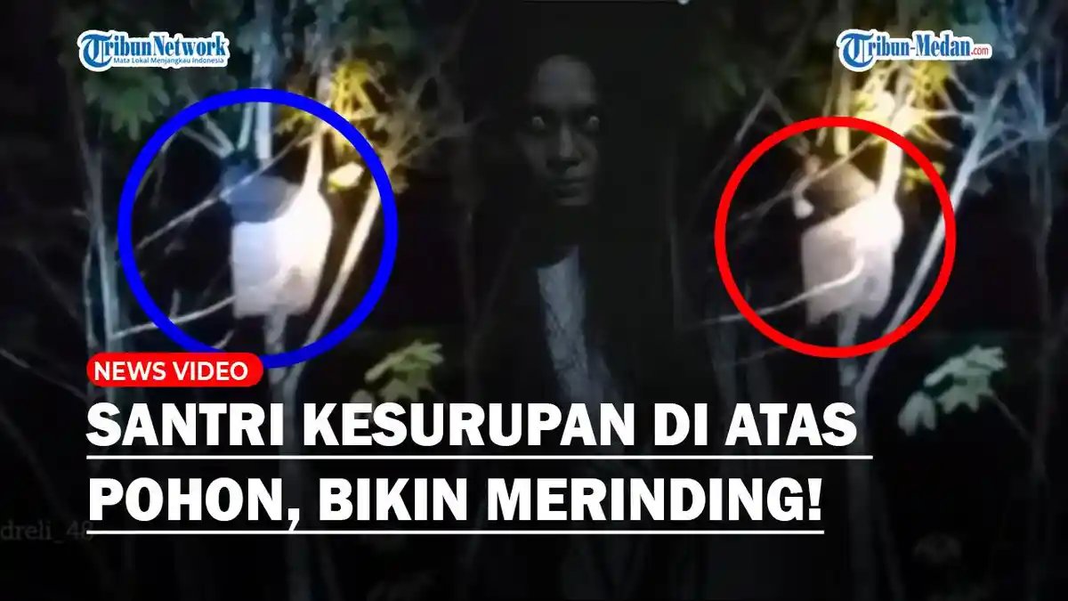 Merinding, Santri Kesurupan Histeris di Atas Pohon, Suara Teriakan ...