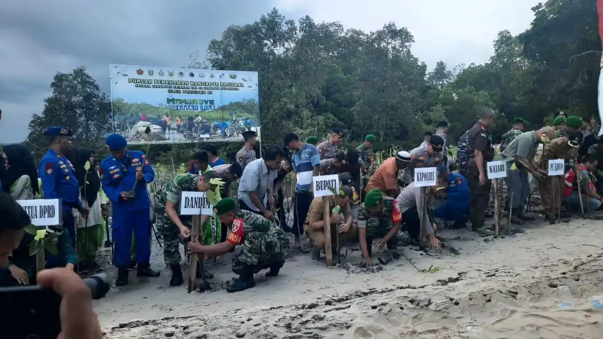 Bupati Paser Apresiasi Kodim 0904/PSR Tanam 1.000 Pohon Mangrove di ...