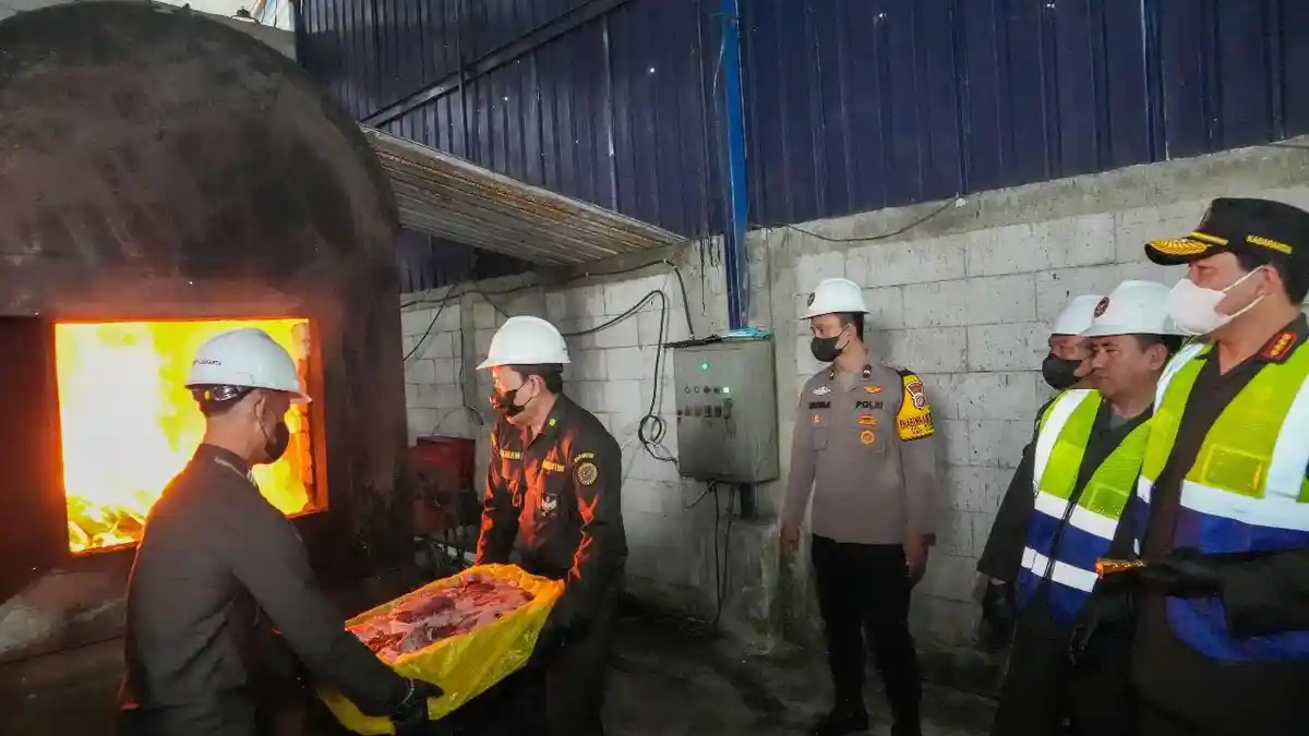 Ketahuan Ada Limpa, 17 Ton Jeroan Sapi Beku Asal Australia Dimusnahkan ...
