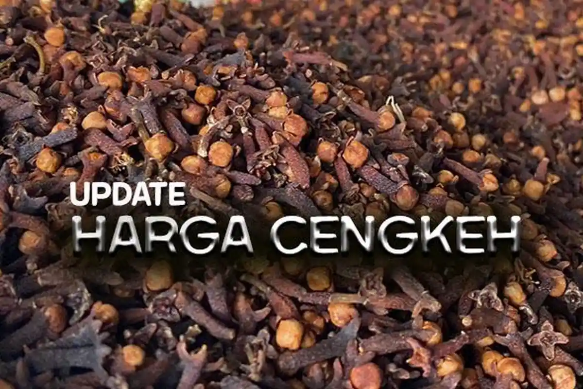 Info Harga Cengkeh Terbaru di Manado Sulawesi Utara, Ada Kenaikan ...