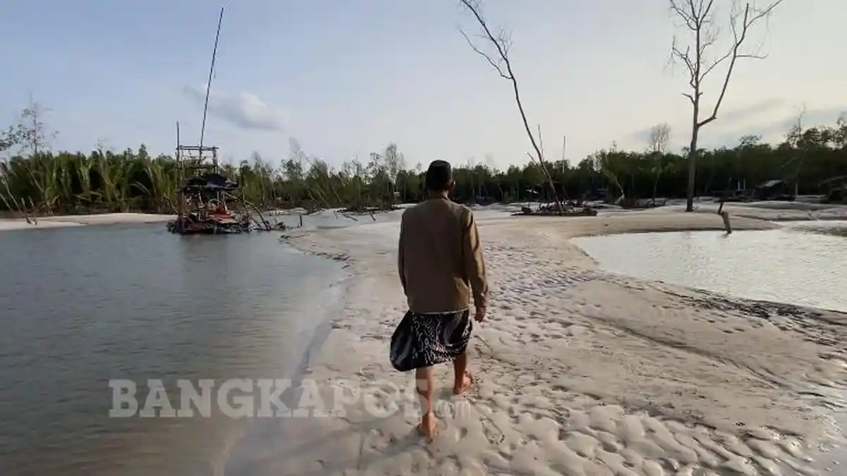 Penampakan Tambang Timah Ilegal di Desa Jada Bahrin Bangka, Menghantam ...