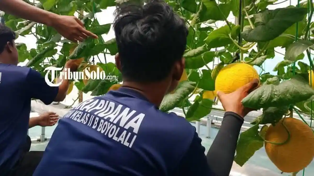 Liburan Kok ke Rutan? Wisata ke Rutan Boyolali Jateng Ini Malah Bikin ...