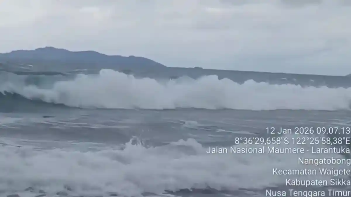 Peringatan Dini BMKG: Perairan Selatan Jawa Hingga NTT Berpotensi ...