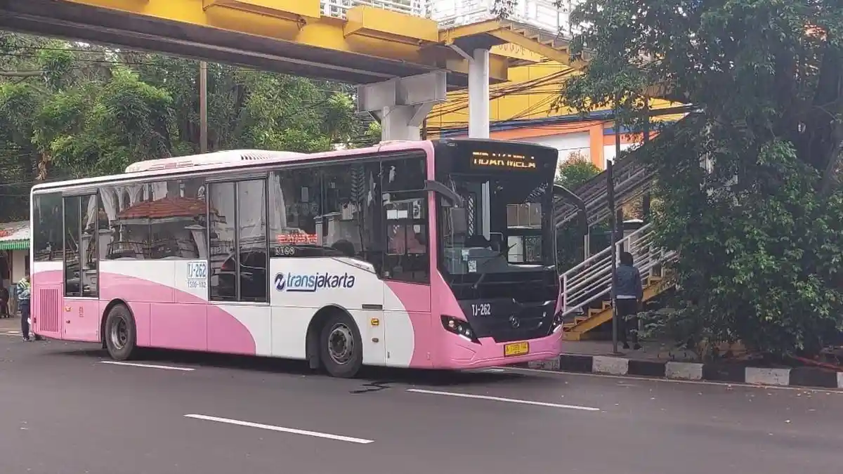 Transjakarta Harus Tambah Bus Pink Khusus Perempuan Akibat Maraknya ...