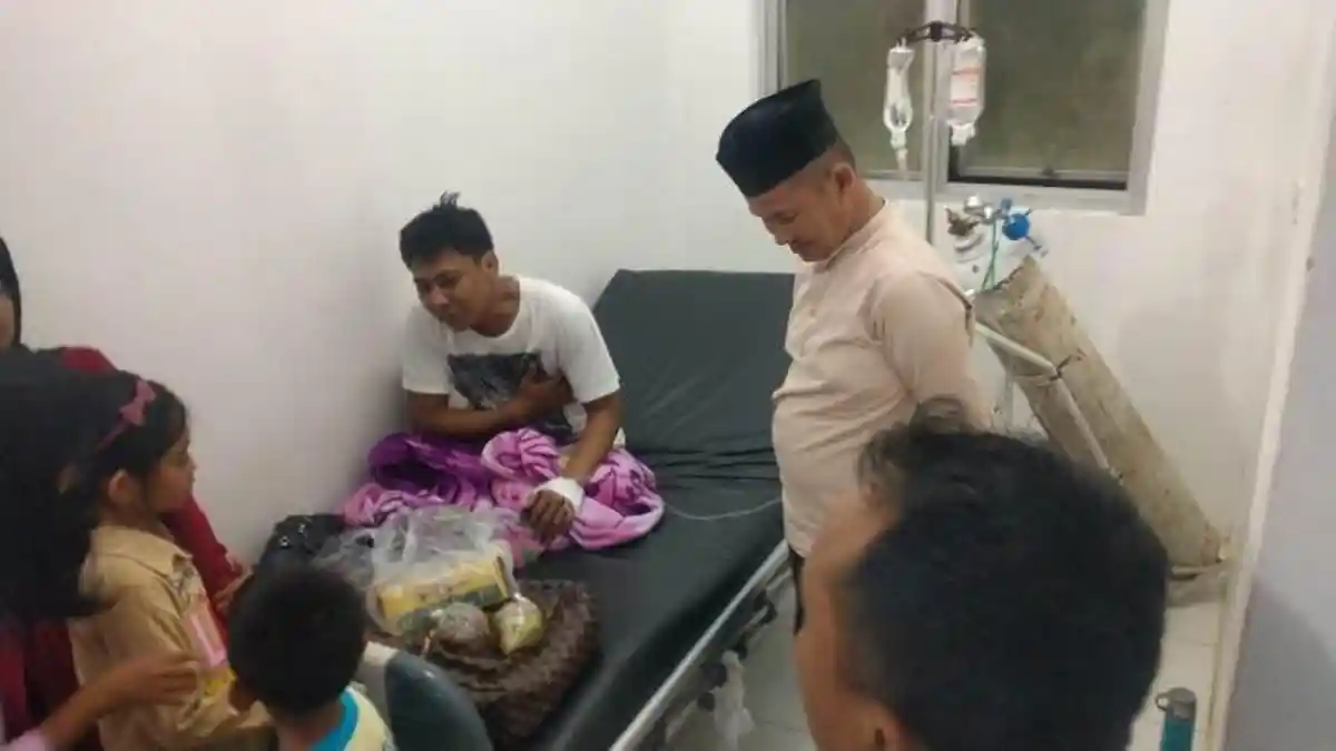 Warga di Mesuji Lampung Pingsan hingga Dirawat Akibat Gigitan Semut ...