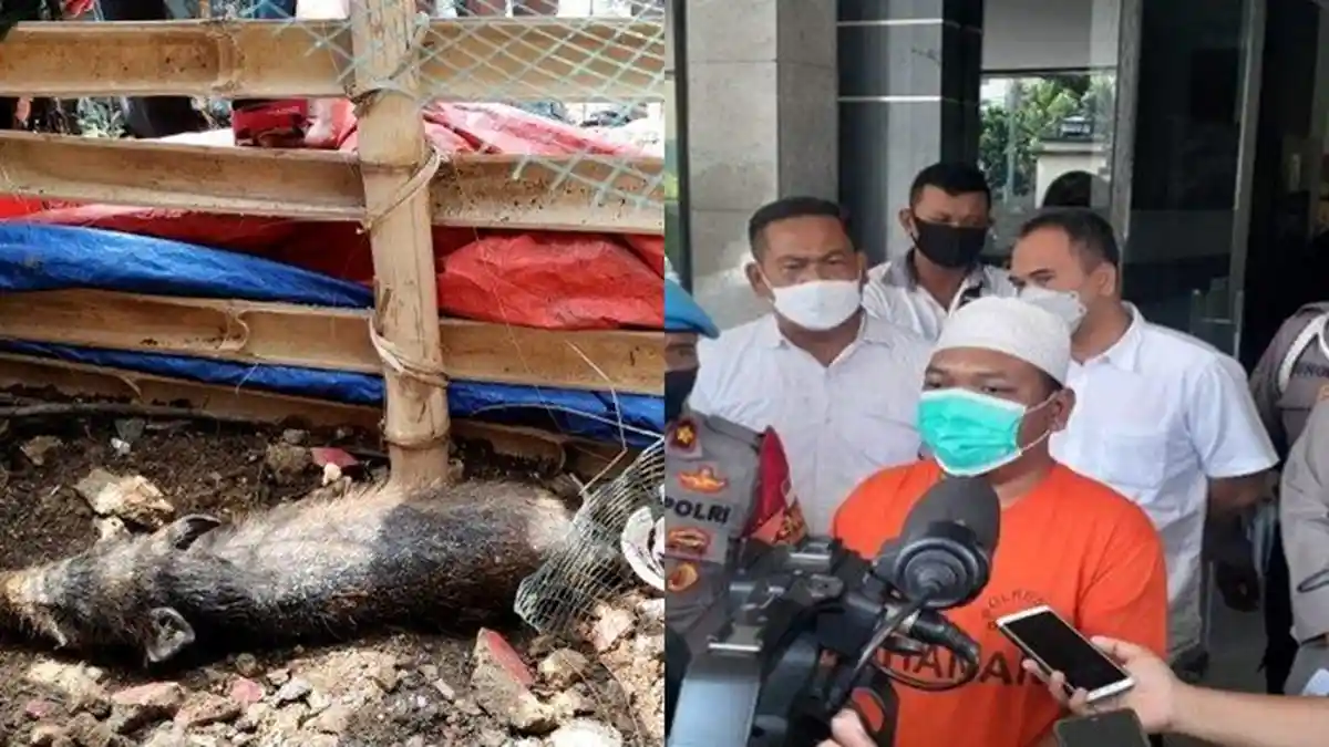 Siapa Adam Ibrahim Pengarang Cerita Babi Ngepet yang Viral, Ternyata ...