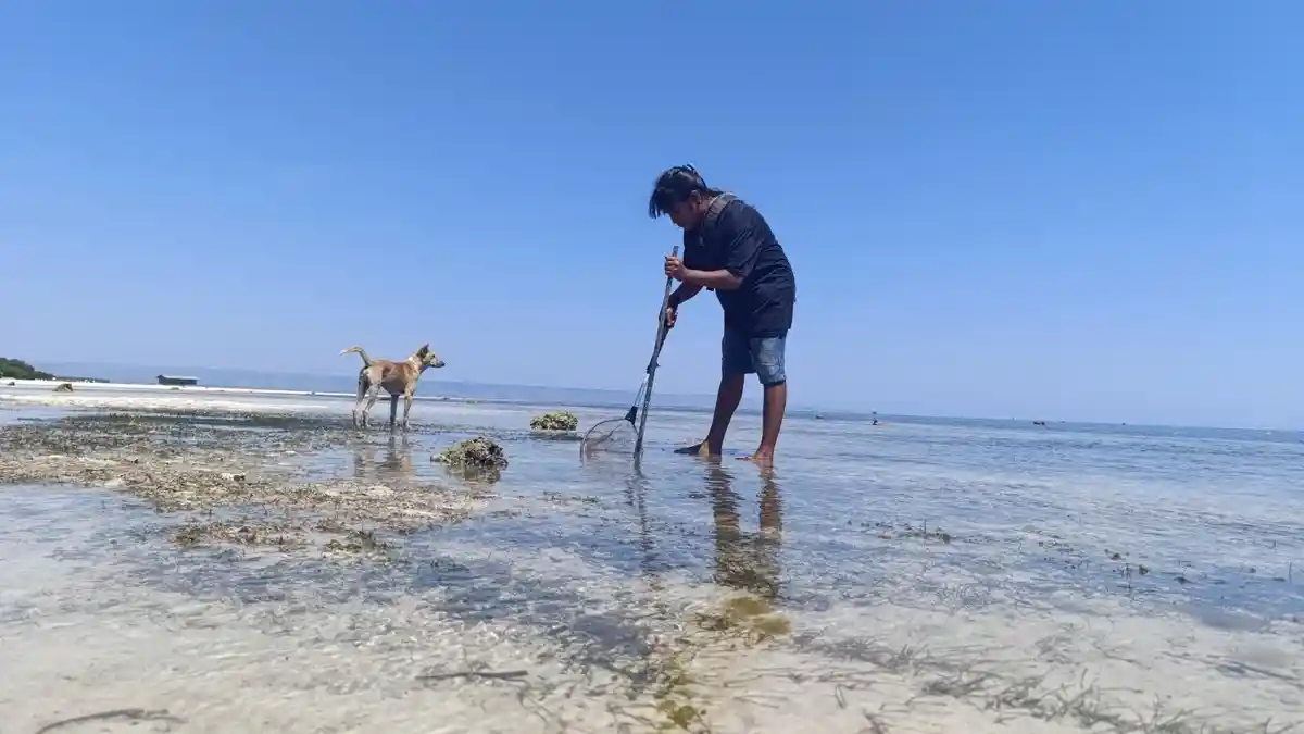 Mama Redha Bagikan Kisah sebagai Nelayan Perempuan di Pantai Walakiri ...