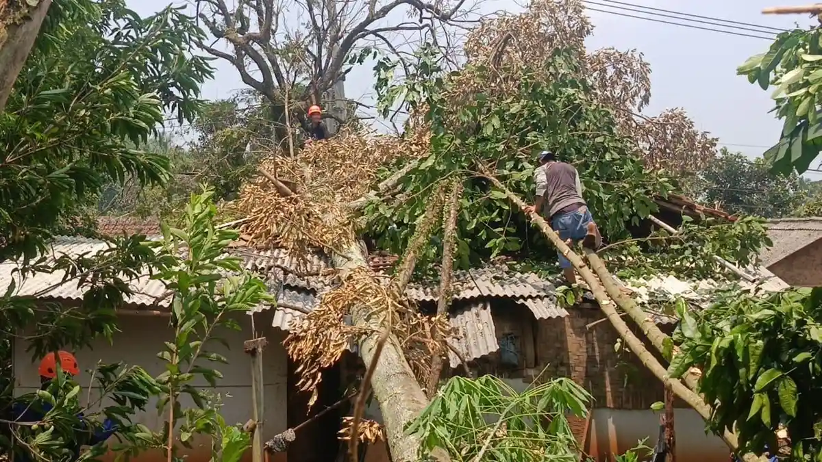 Ratusan Rumah di Cianjur Rusak Diterjang Hujan Deras dan Angin Kencang ...
