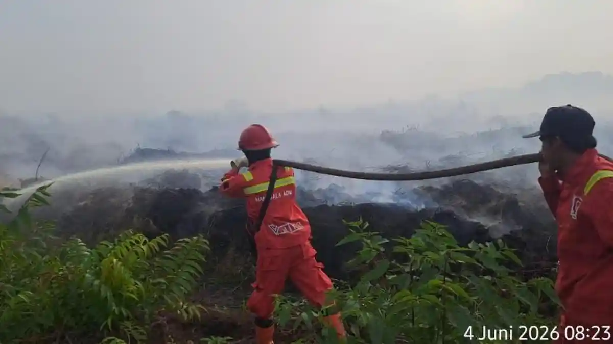 Karhutla Mengganas di Rohil, BPBD Rohil Minta Bantuan Modifikasi Cuaca ...