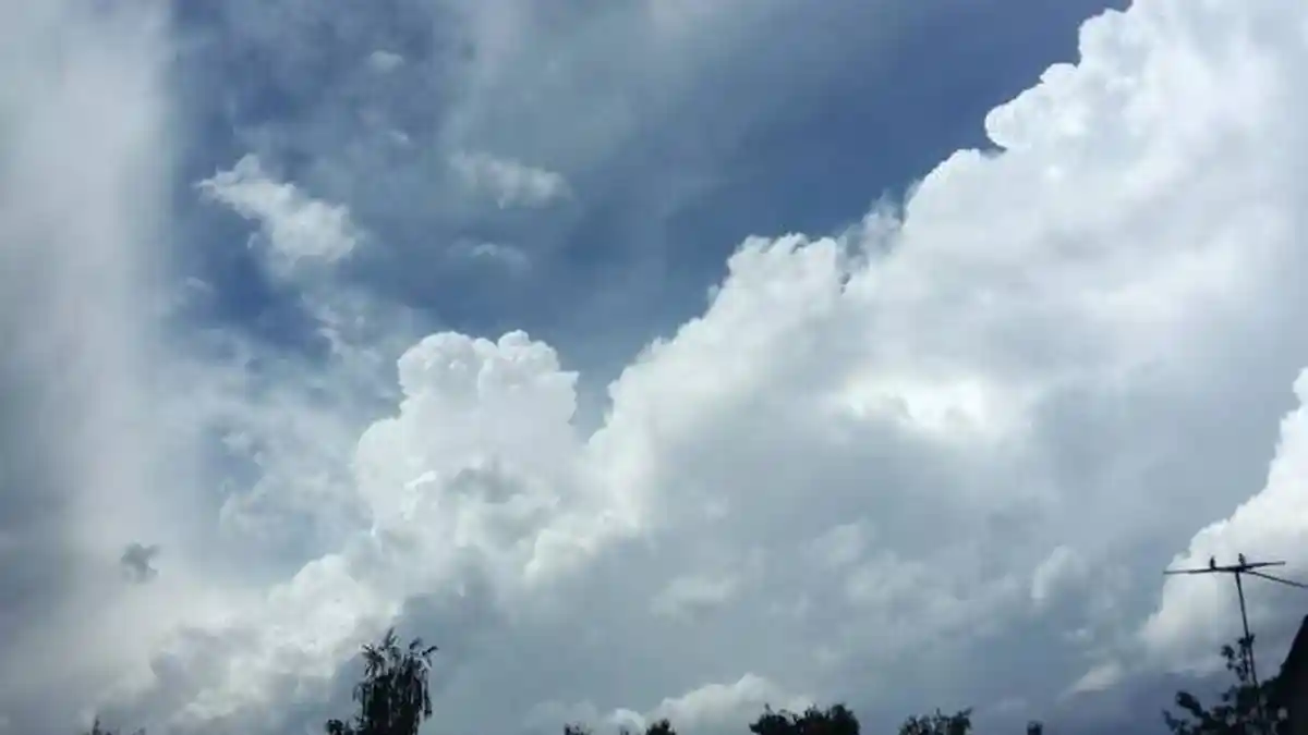 Ramalan Cuaca Jatim Selasa 16 September 2025, Jember Hujan Pagi Hari ...