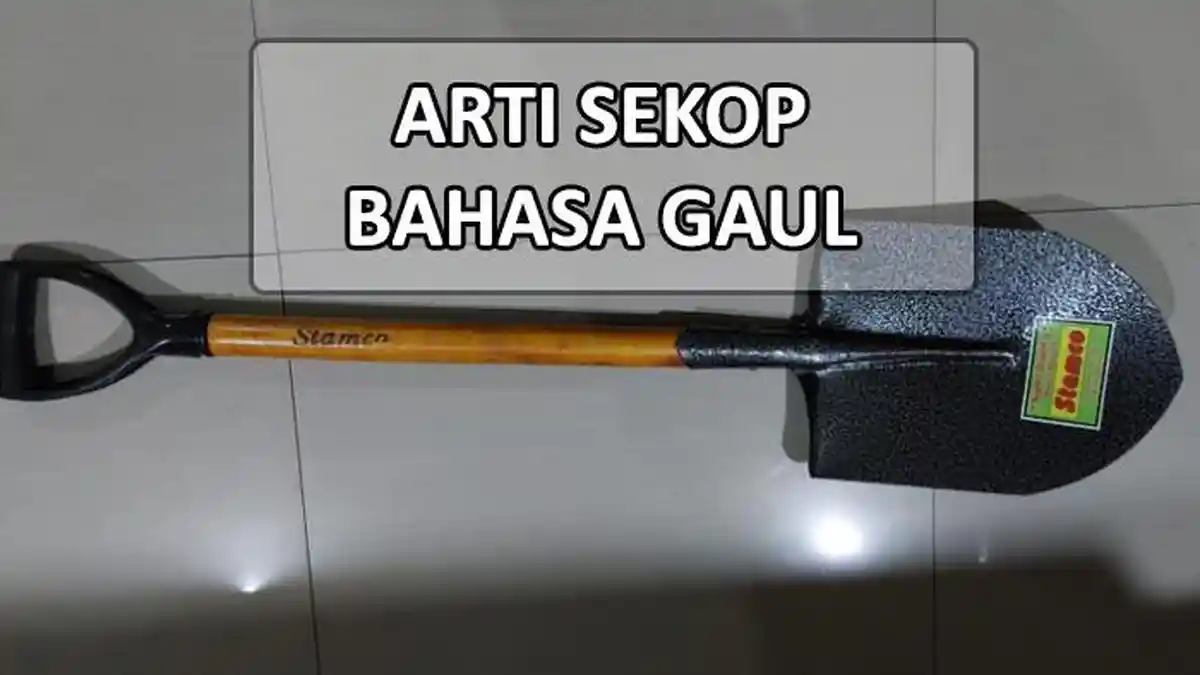 Arti Sekop atau Sekop Artinya Dalam Bahasa Gaul, Beda Jauh sama Makna ...