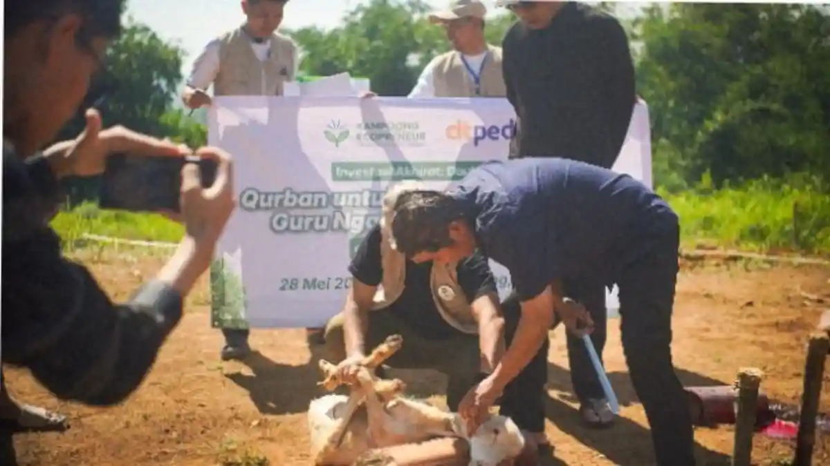 Peduli Lingkungan, Kampoong Ecopreneur Bagikan 108 Hewan Kurban ke ...