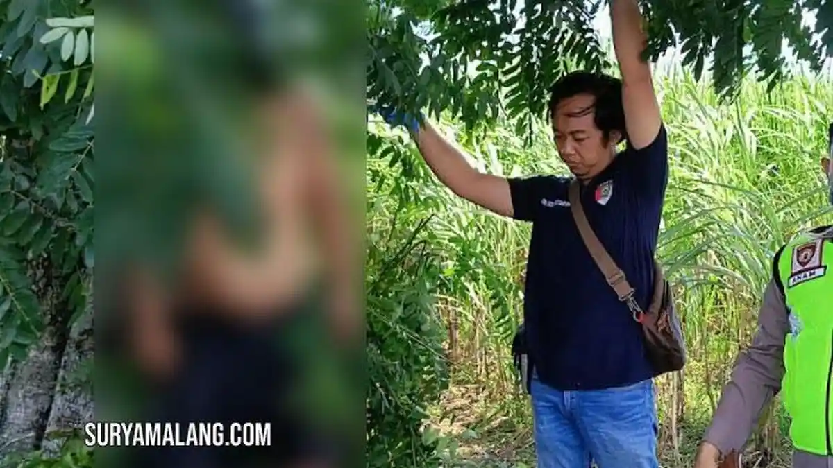 Akhir Hidup Pria 56 Tahun asal Blitar di Bawah Pohon Johar Desa Kunjang ...