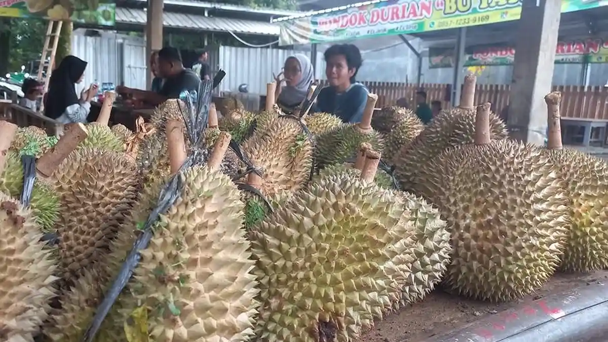 Cari Durian Lokal Kudus Bergaransi dan Murah? Buruan Datang ke Pondok ...