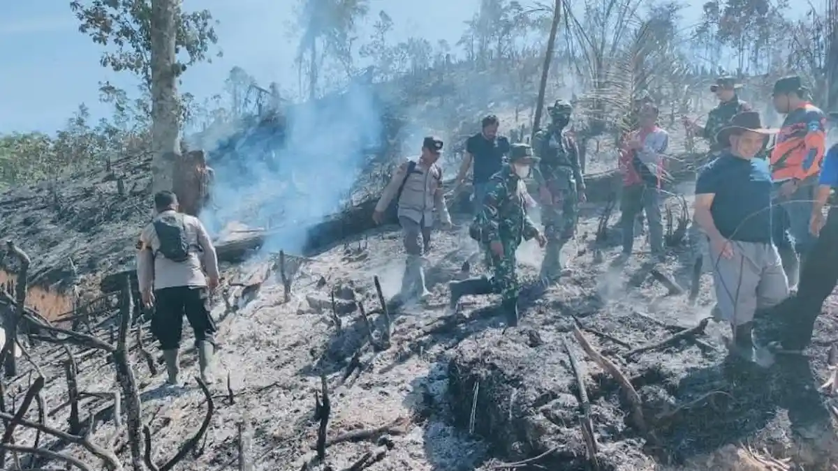 Warga Rohul Ikut Padamkan Api Karhutla yang Lalap Kebun Milik PT ...