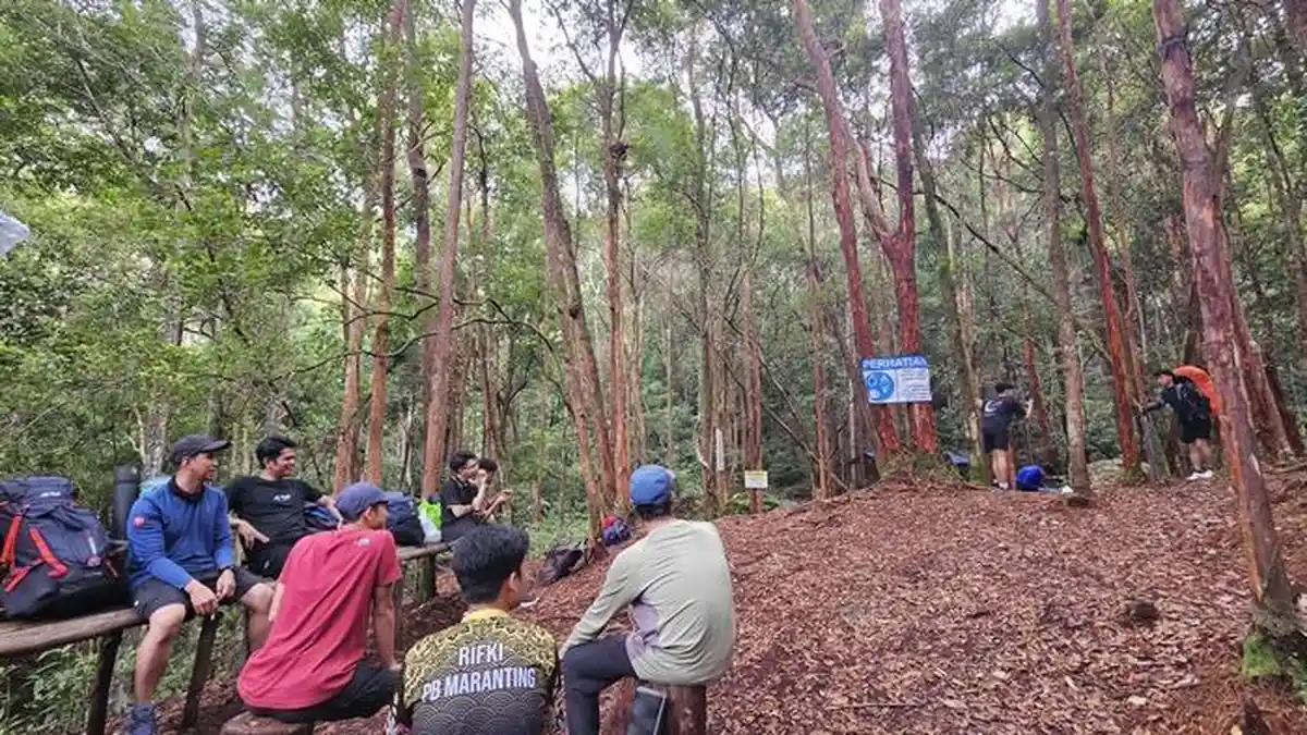 Pendakian ke Gunung Hauk Balangan, Jalur Kayu Habang Bikin Andi Jatuh ...
