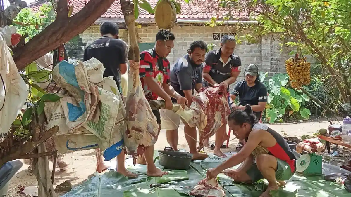 PWI Bangka Selatan Bersama PT Timah Bagikan Hewan Kurban kepada ...