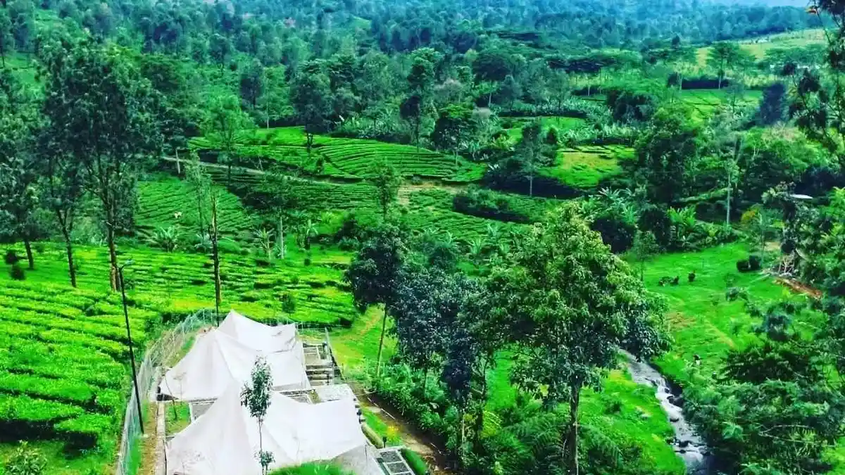 Harga Tiket Masuk Gunung Mas Puncak Bogor, Tempat Wisata Populer di ...