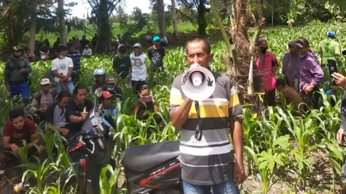 Lahan Warga Lumbewe Lutim Mau Digusur PTPN, Walhi Sulsel: Sama Saja ...