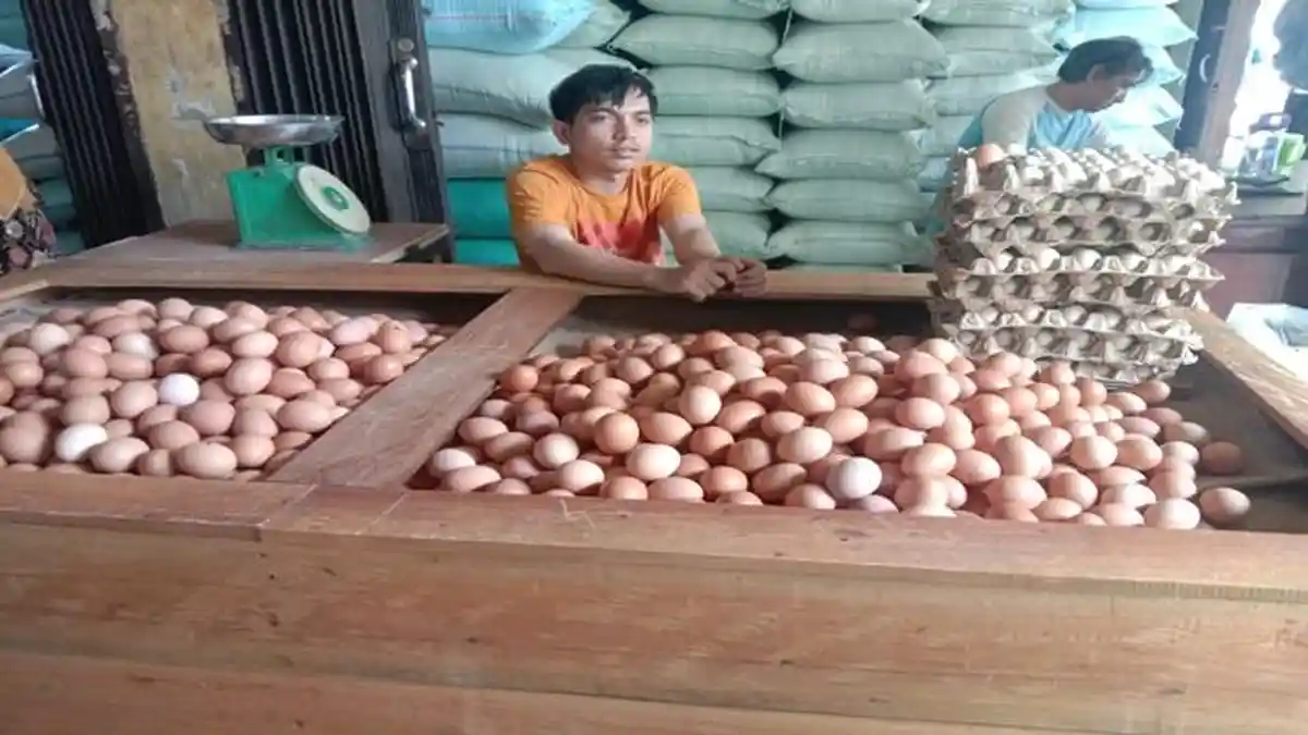 Harga Telur Hari ini di OKU Naik Minggu 14 September 2025, Pedagang ...