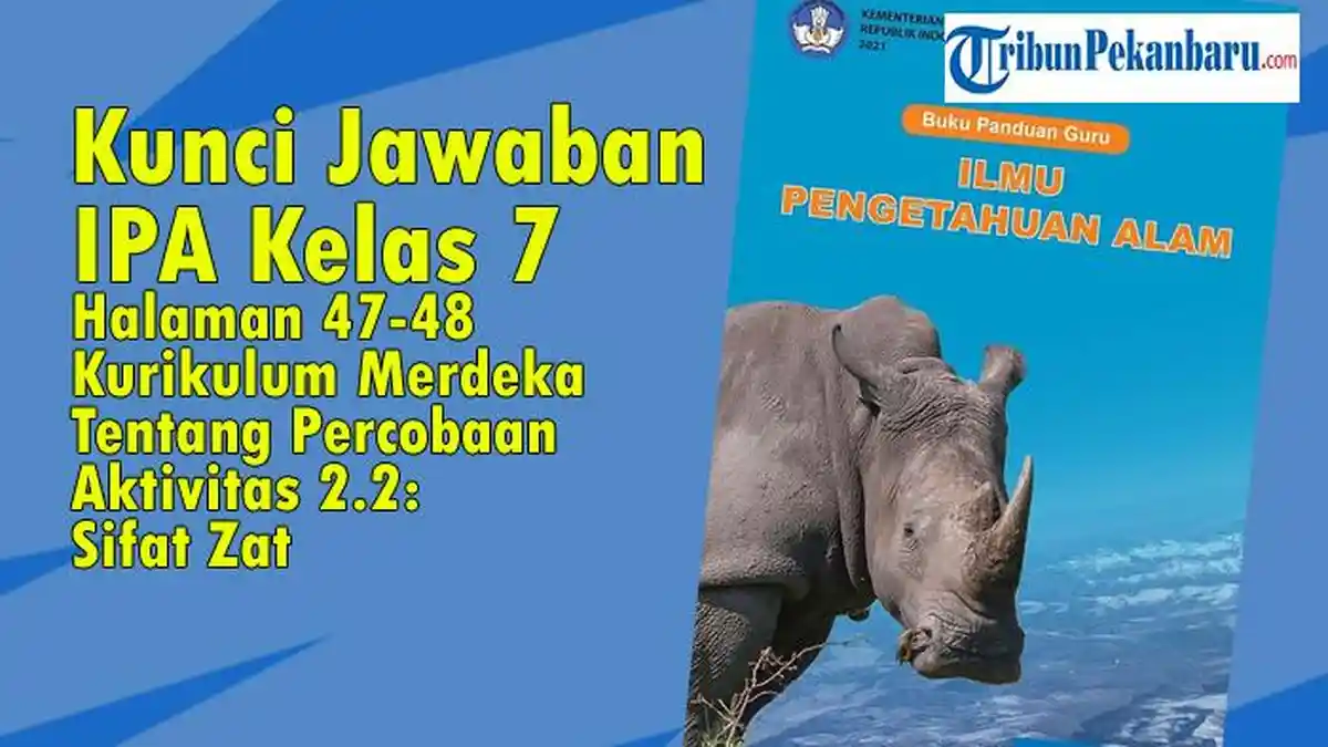 Kunci jawaban IPA Kelas 7 Halaman 47 Kurikulum Merdeka Revisi: Apa yang ...