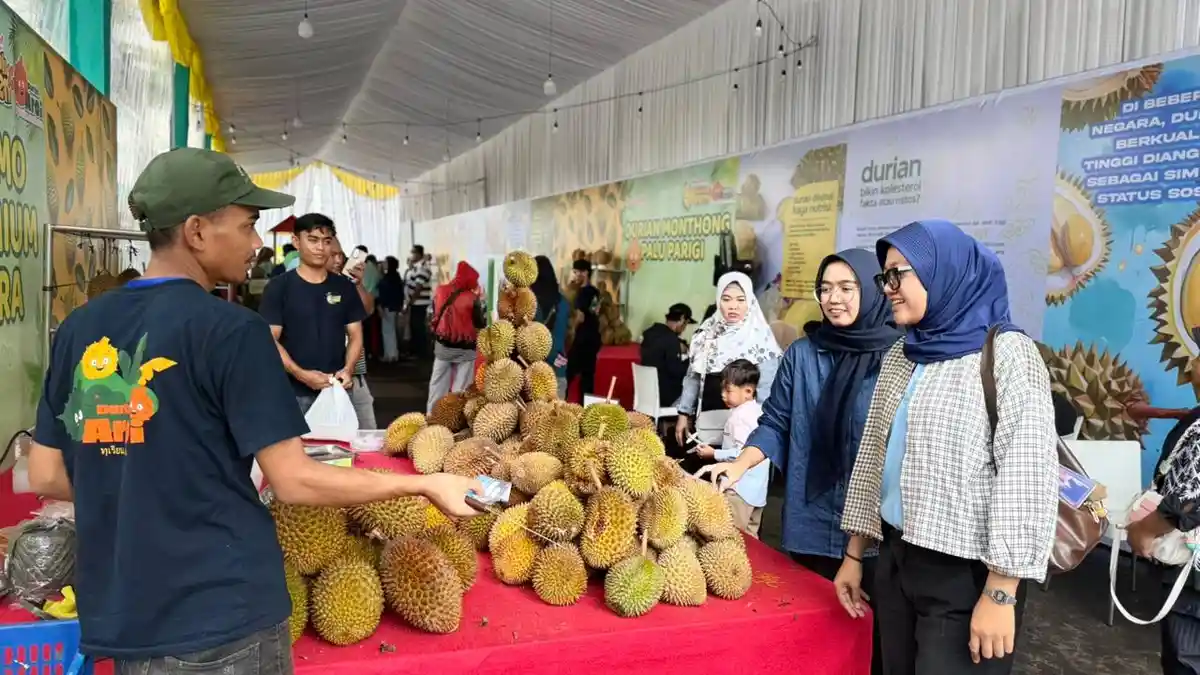 Musim Durian Tiba! Rame Rame Belah Duren Digelar 10 Hari di Tangcity ...