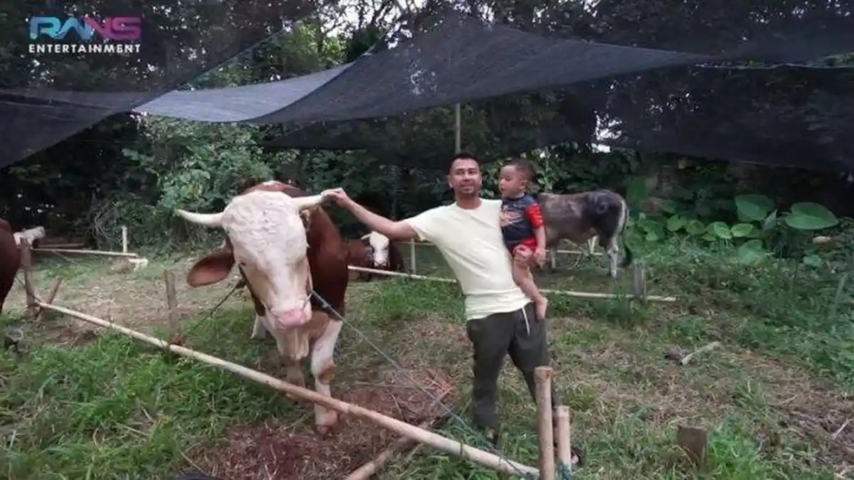 Uang Hasil Kerja Rayyanza Bisa Beli Sapi 1,1 Ton, Raffi Ahmad: Kurban ...