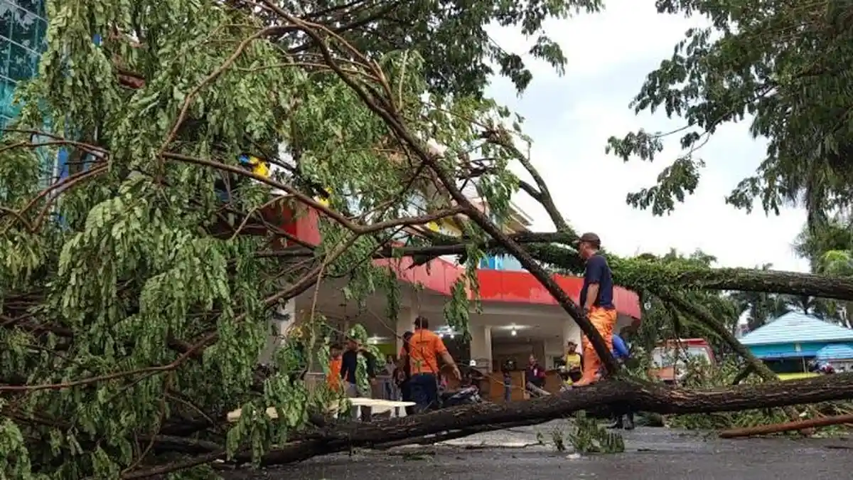 Listrik Padam Empat Jam, Pohon Tumbang Timpa Atap Rumah Warga di Jekan ...