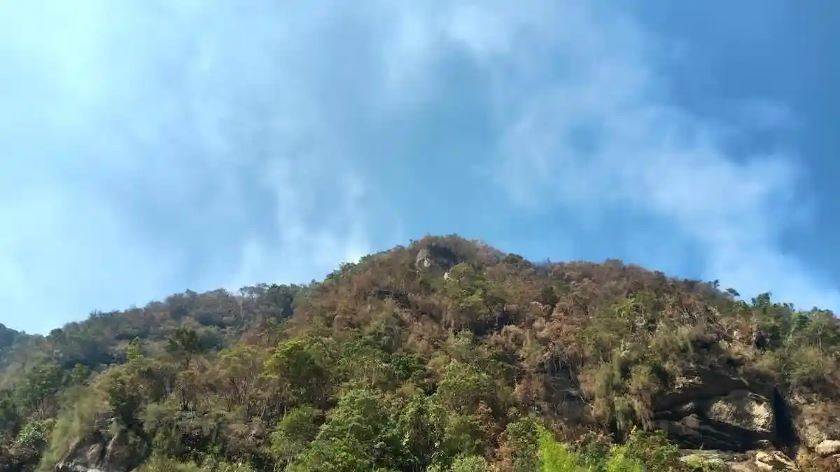 Pemadaman Karhutla di 50 Kota akan Gunakan Hujan Buatan, Lokasi ...