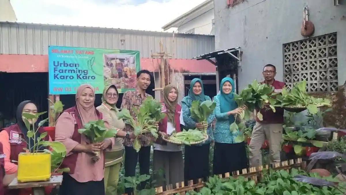 ‎Ketua Tim Penggerak PKK Tallo Panen Perdana Urban Farming di RW 001 ...