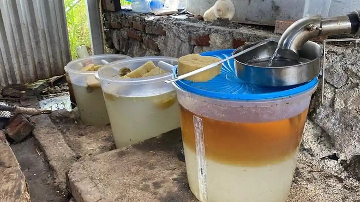 Harga Minyak Nilam Terkini di Minahasa Sulawesi Utara Selasa 30 ...