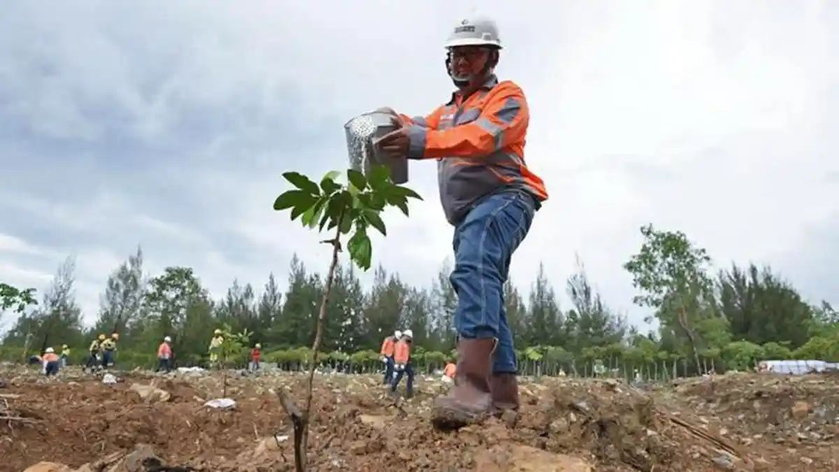 Upaya Pemulihan Lahan Pasca Tambang, SIG Melalui PT Solusi Bangun ...