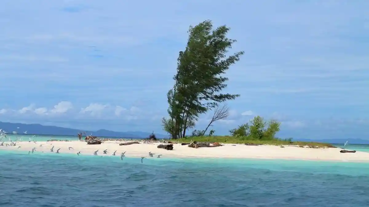 Destinasi Menarik di Pulau Batanta Raja Ampat, Wisata Papua Barat Daya ...