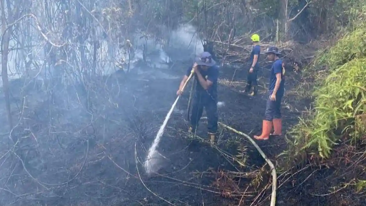 Karhutla di Riau Belum Padam Seluruhnya, Titik Api Baru Muncul di ...