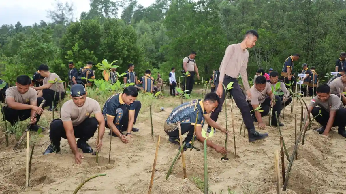 Polres PPU Tanam 1.000 Mangrove di Pantai Nipah-Nipah untuk Cegah ...