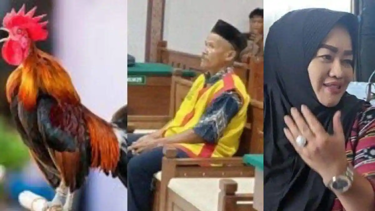 Nasib Mbah Suyatno Dituding Curi Ayam Rp 4,5 Juta yang Jadi Jimat Bu ...