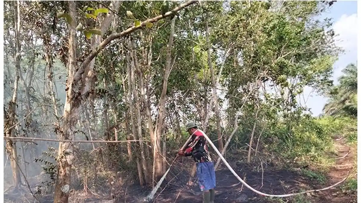 Hadapi Fenomena El Nino, BPBD Inhu Persiapan Petugas Patroli di Daerah ...