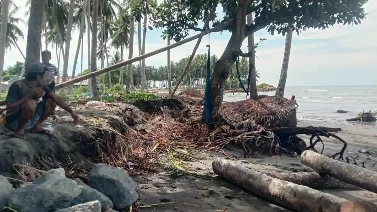 BREAKING NEWS : Abrasi Ancam Kampung Mes Babana Mamuju Tengah Abrasi ...