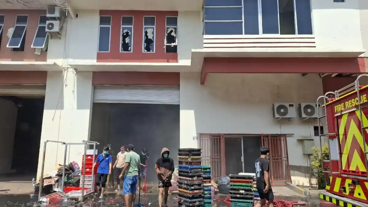 Gudang PT Fresco Natural Anugrah Batam Terbakar, Damkar Padamkan Api ...
